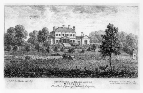 Ha-Ha/Sunk fence - History of Early American Landscape Design