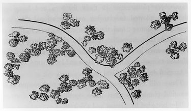 Plantation - History of Early American Landscape Design