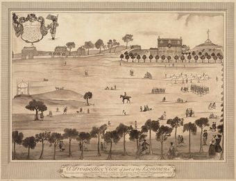 Boston Common - History of Early American Landscape Design