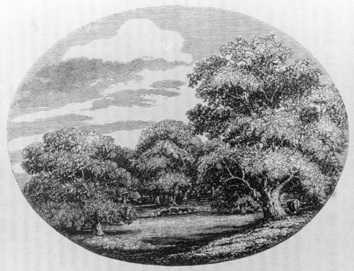 Landscape gardening - History of Early American Landscape Design