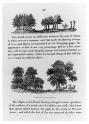 Thicket - History of Early American Landscape Design