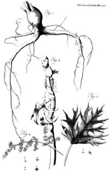 Samuel Bard - History of Early American Landscape Design