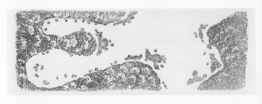 Thicket - History of Early American Landscape Design