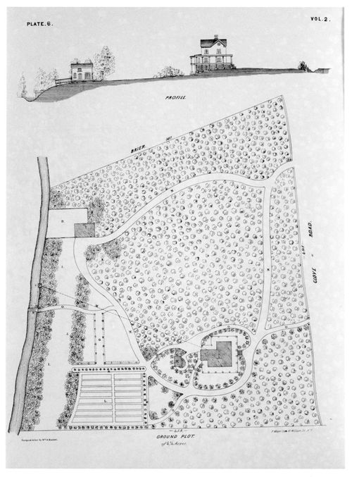 Parterre - History of Early American Landscape Design