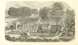 Drive - History of Early American Landscape Design