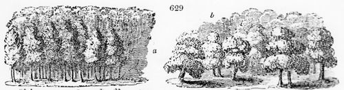 Grove - History of Early American Landscape Design