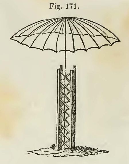 Trellis - History of Early American Landscape Design