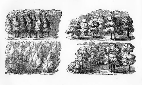 Wood/Woods - History of Early American Landscape Design