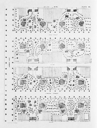Alley - History of Early American Landscape Design